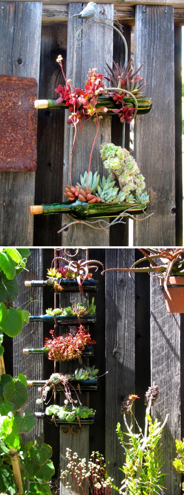 25 DIY Succulent Garden Ideas and Tutorials | Styletic