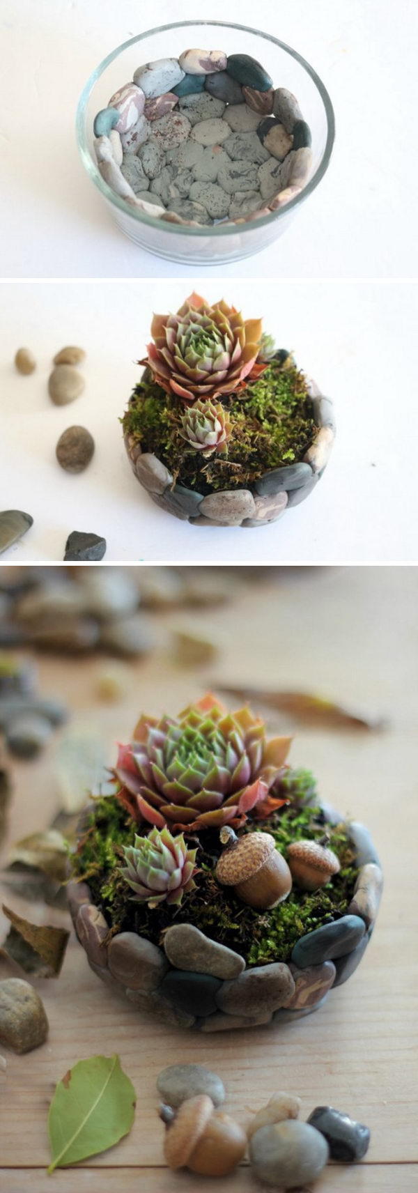 25 DIY Succulent Garden Ideas and Tutorials | Styletic