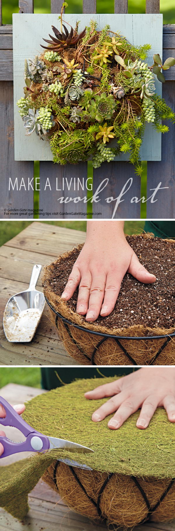 25 DIY Succulent Garden Ideas and Tutorials | Styletic