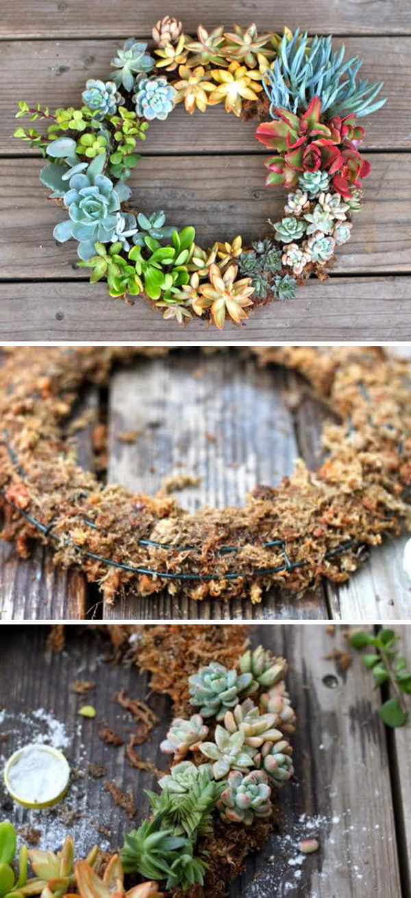 25 DIY Succulent Garden Ideas and Tutorials | Styletic