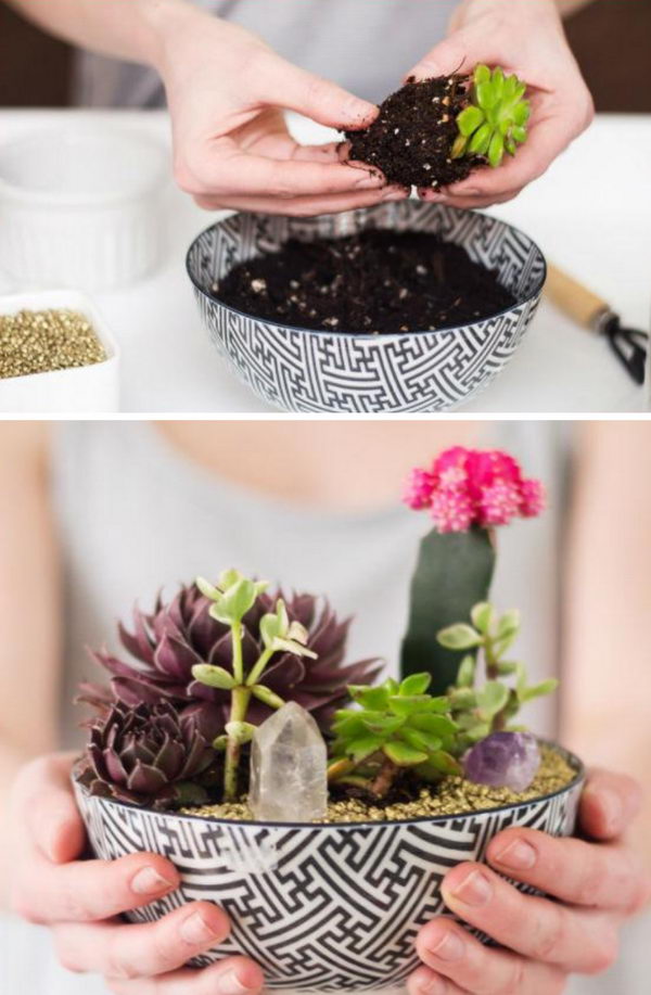 25 DIY Succulent Garden Ideas and Tutorials | Styletic