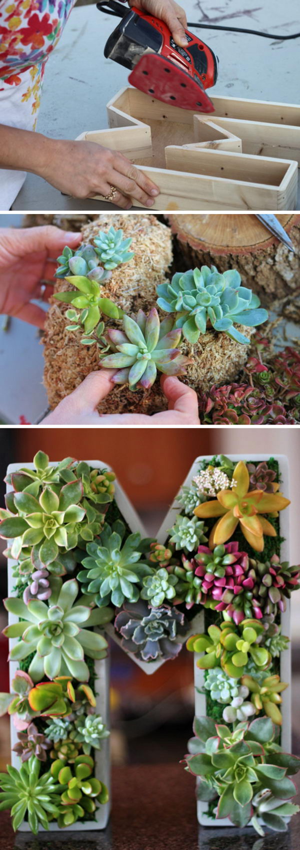 25 DIY Succulent Garden Ideas and Tutorials | Styletic
