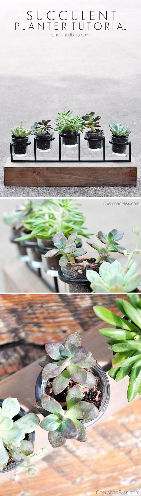 25 DIY Succulent Garden Ideas and Tutorials | Styletic