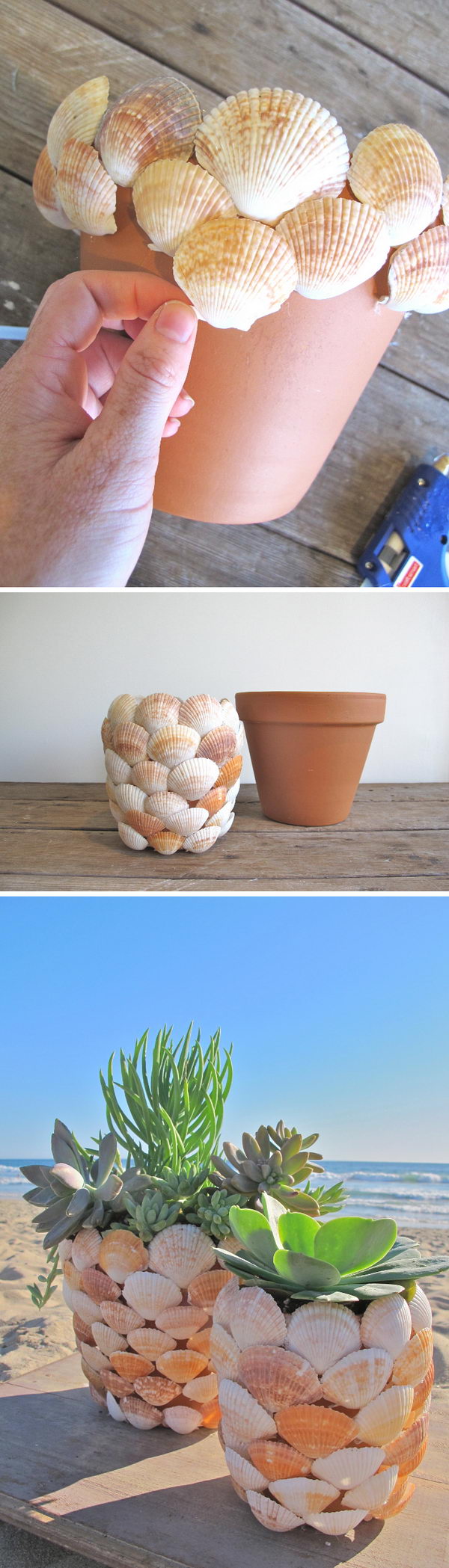 25 DIY Succulent Garden Ideas and Tutorials | Styletic